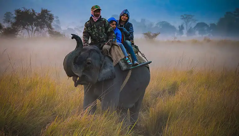 Assam Shillong Tour Package- 4N/5D | ₹13,999